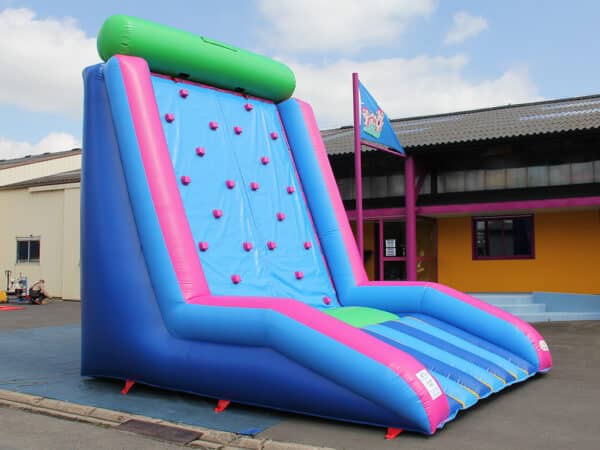 SPIDER CATCH/ATTRAP FLY - C2J