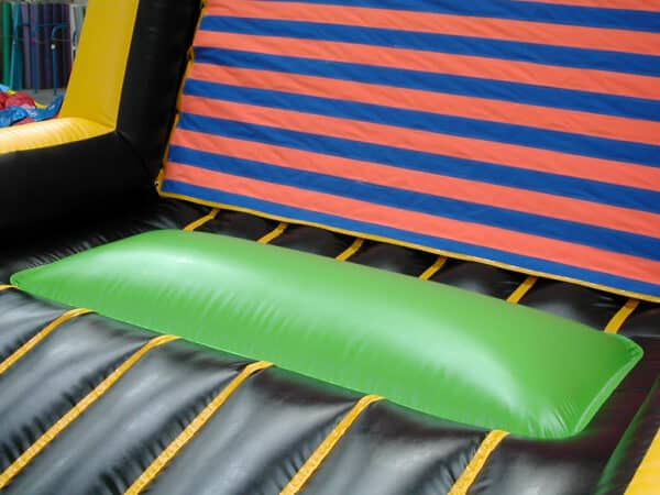 SPIDER CATCH/ATTRAP FLY - C2J